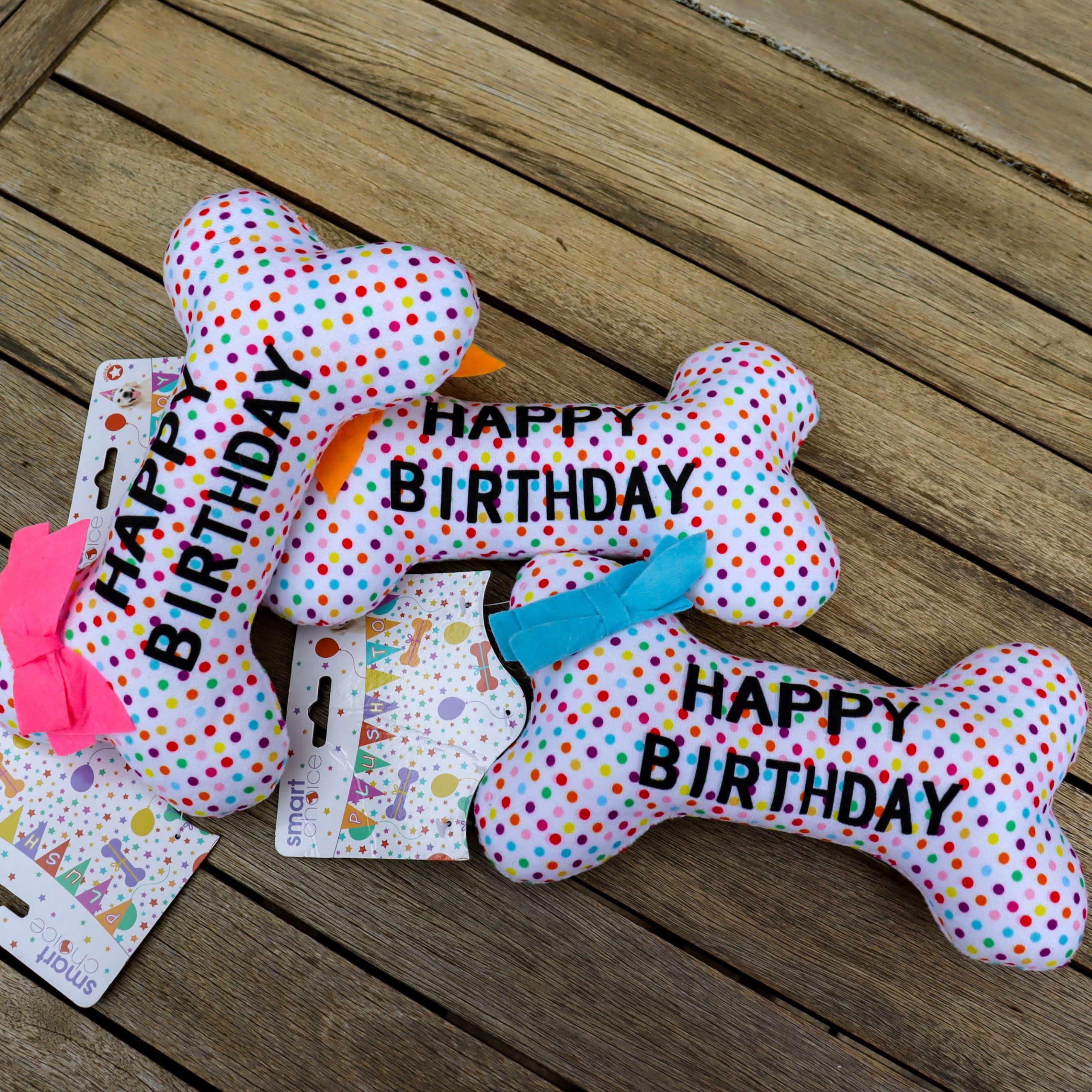 Birthday Bone Plush Toy with Squeaker - Harry and Ginny Designs